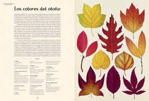 Arboretum, de Tony Kirkham y Katie Scott - Zenda