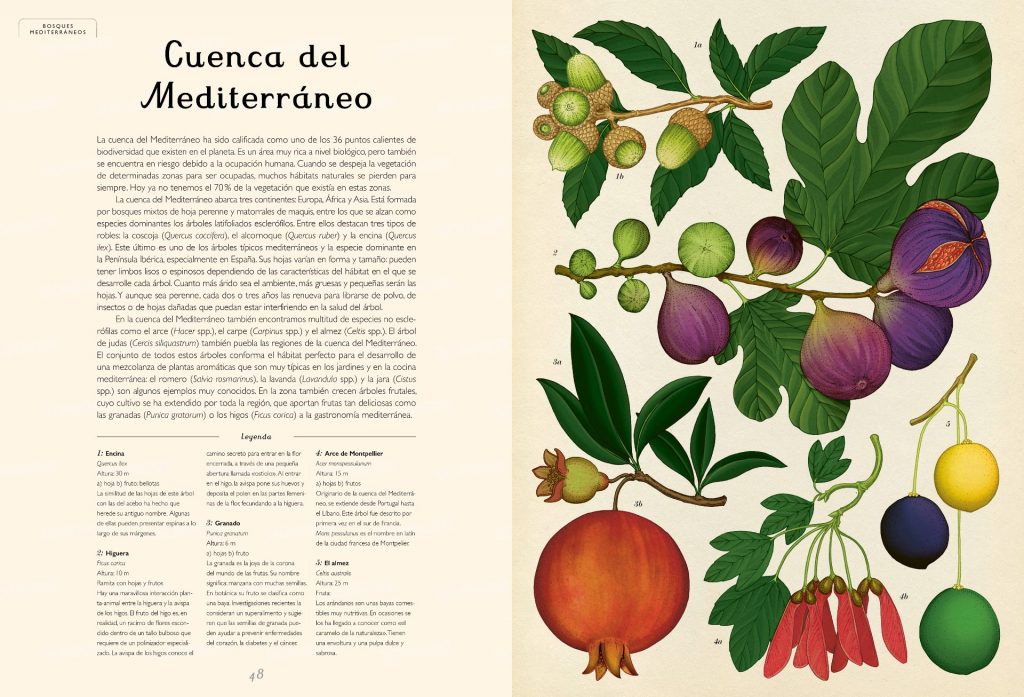 Arboretum, de Tony Kirkham y Katie Scott - Zenda