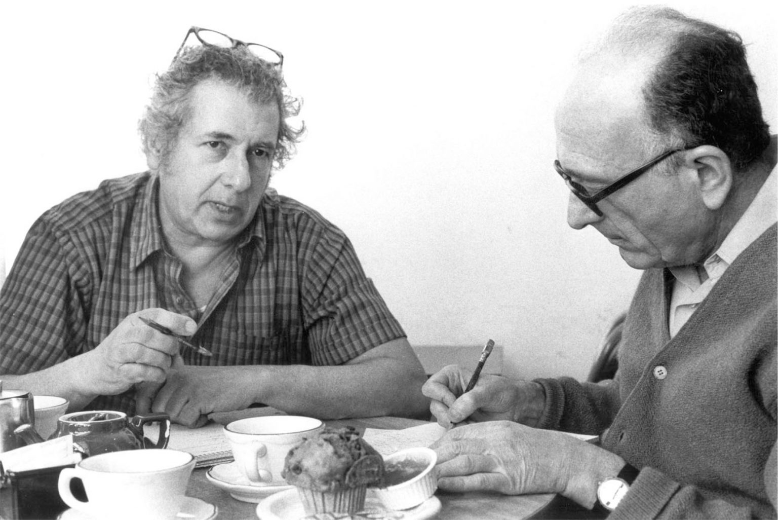 Liberación animal - Zenda