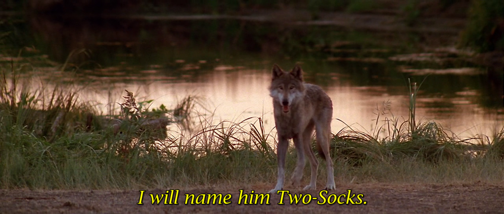 'Bailando Con Lobos': El primer paso es reconocerlo - Zenda